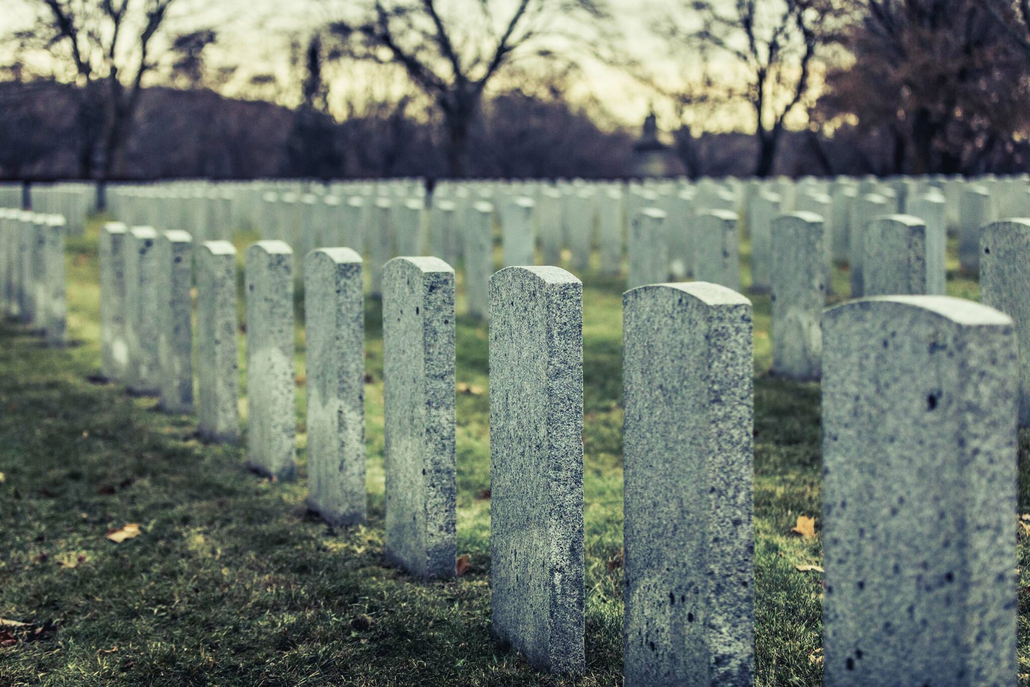 Cemetery Mapping Services with GPR | Sentry Mapping